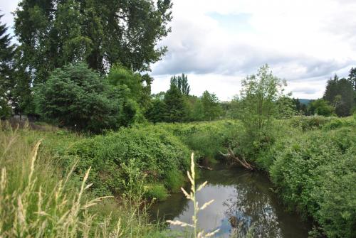 Local Hikes, Wildlife, and Ecology | City of Scappoose Oregon