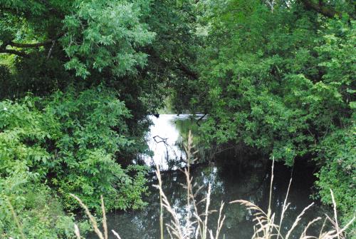 Local Hikes, Wildlife, and Ecology | City of Scappoose Oregon